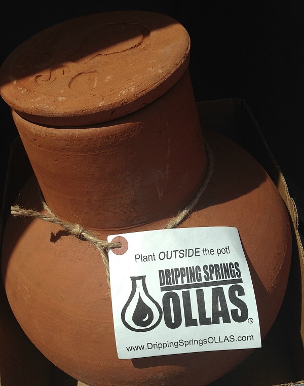 Planting Ollas in my Garden - grace grits and gardening