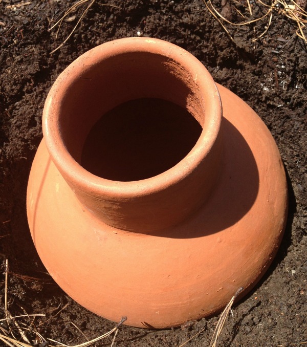 Planting Ollas in my Garden - grace grits and gardening